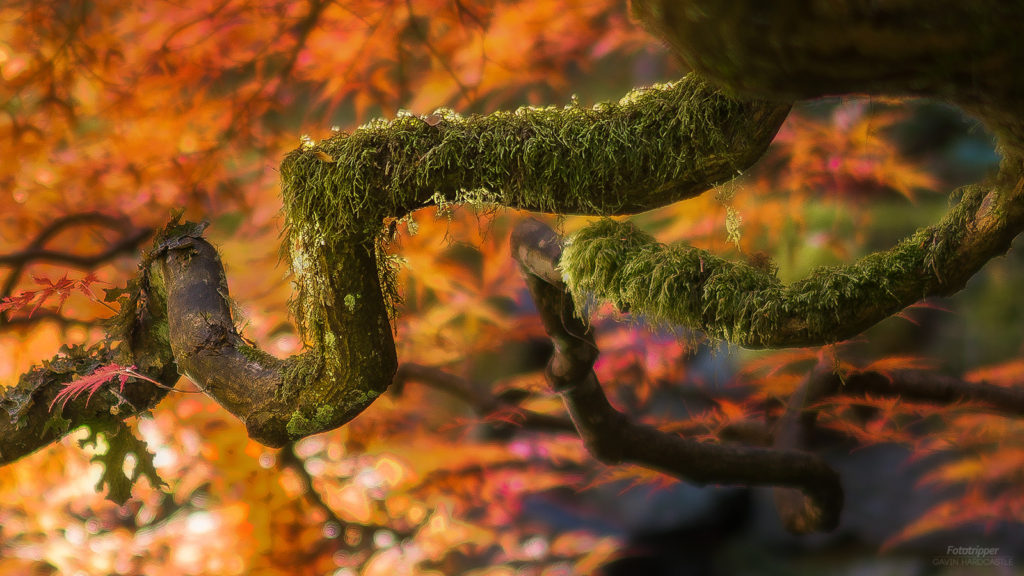 Landscape Photography by Gavin Hardcastle - Fototripper